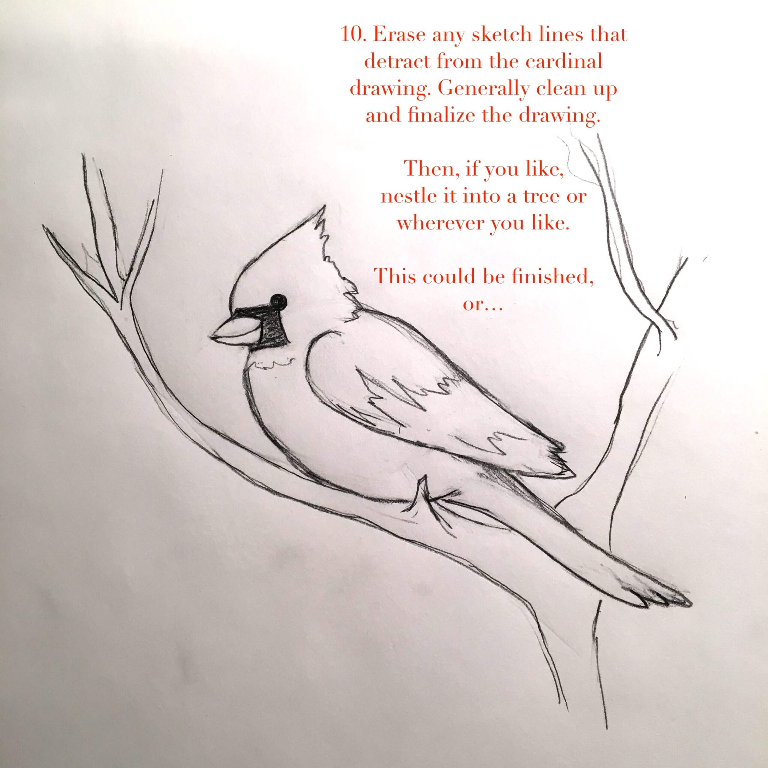 Wonder Wednesday 65: Draw Cute Winter Cardinals step by step – Wings ...