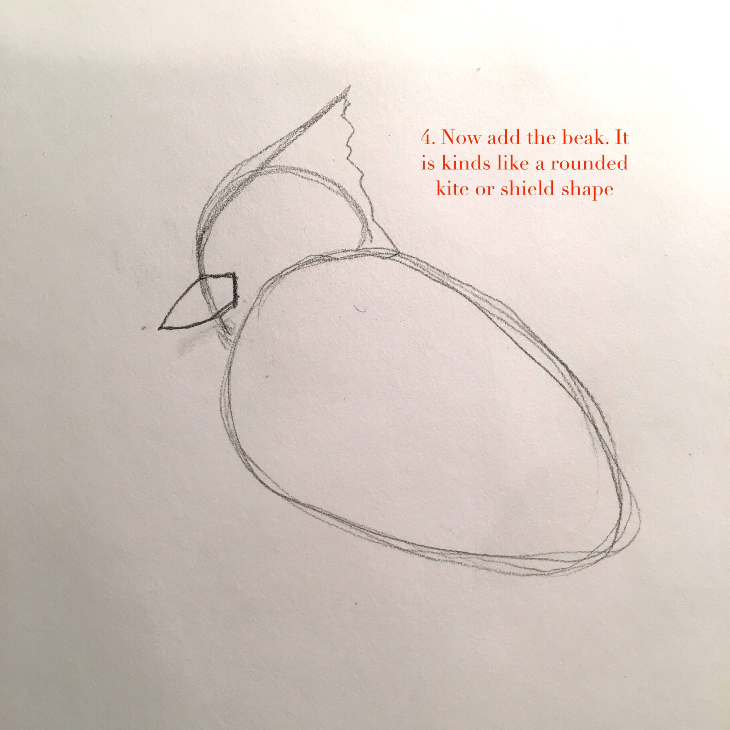 Wonder Wednesday 65: Draw Cute Winter Cardinals step by step – Wings ...