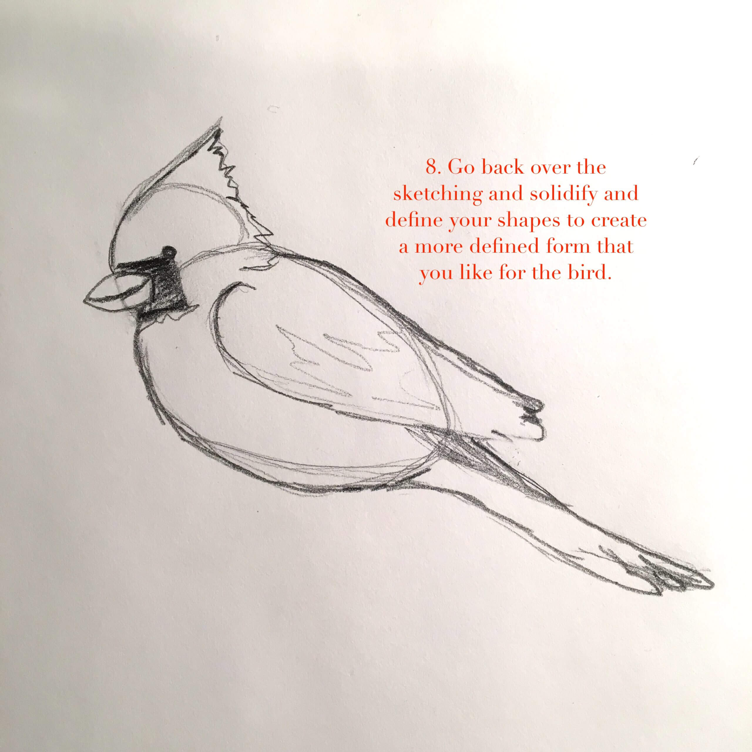 Wonder Wednesday 65: Draw Cute Winter Cardinals step by step – Wings ...